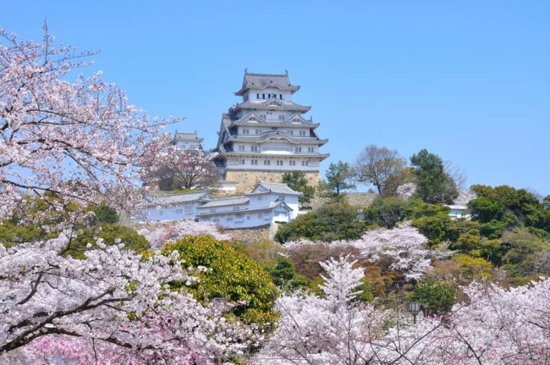 From Kyoto:Premium Kobe Beef & Himeji Castle Deluxe Bus Tour - From Kyoto: Premium Kobe Beef & Himeji Castle Deluxe Bus Tour — A Detailed Review