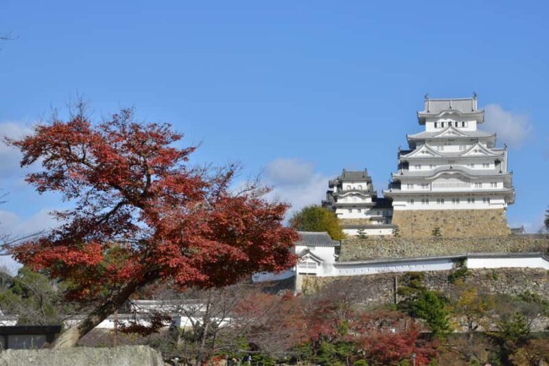 From Kyoto:Premium Kobe Beef & Himeji Castle Deluxe Bus Tour - The Bottom Line: Is It Worth It?
