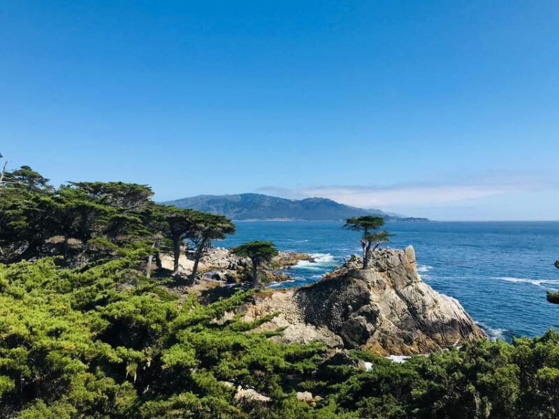 From LA: 3-Day San Francisco and Yosemite Tour Small Group - FAQ