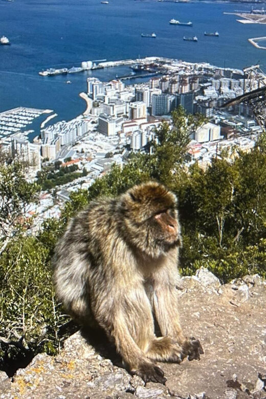from La Cala/Marbella/Estepona: VIP Gibraltar tour with monkey rock + shopping - Authentic Experiences That Set This Tour Apart