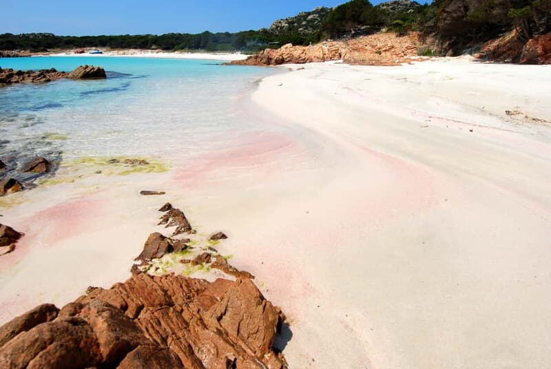 From La Maddalena or Palau: Archipelago Boat Tour - Final Thoughts: Is It Worth It?