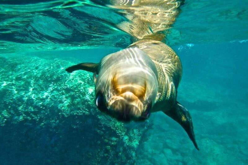 From La Paz: Espiritu Santo Island Adventure - An Introduction to the Espiritu Santo Adventure