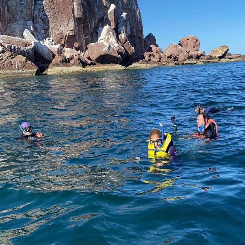 From La Paz: Espíritu Santo Island Tour all inclusive - Introduction