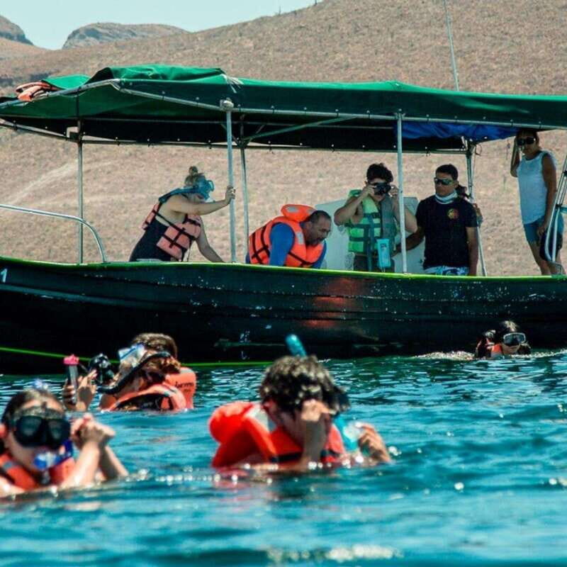 From La Paz: Espíritu Santo Island Tour all inclusive - An In-Depth Look at the Espíritu Santo Island Tour