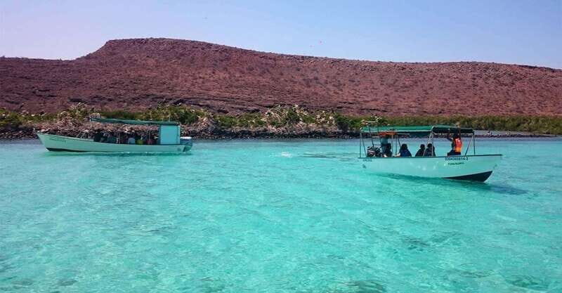 From La Paz: Espíritu Santo Island Tour all inclusive - Final Words