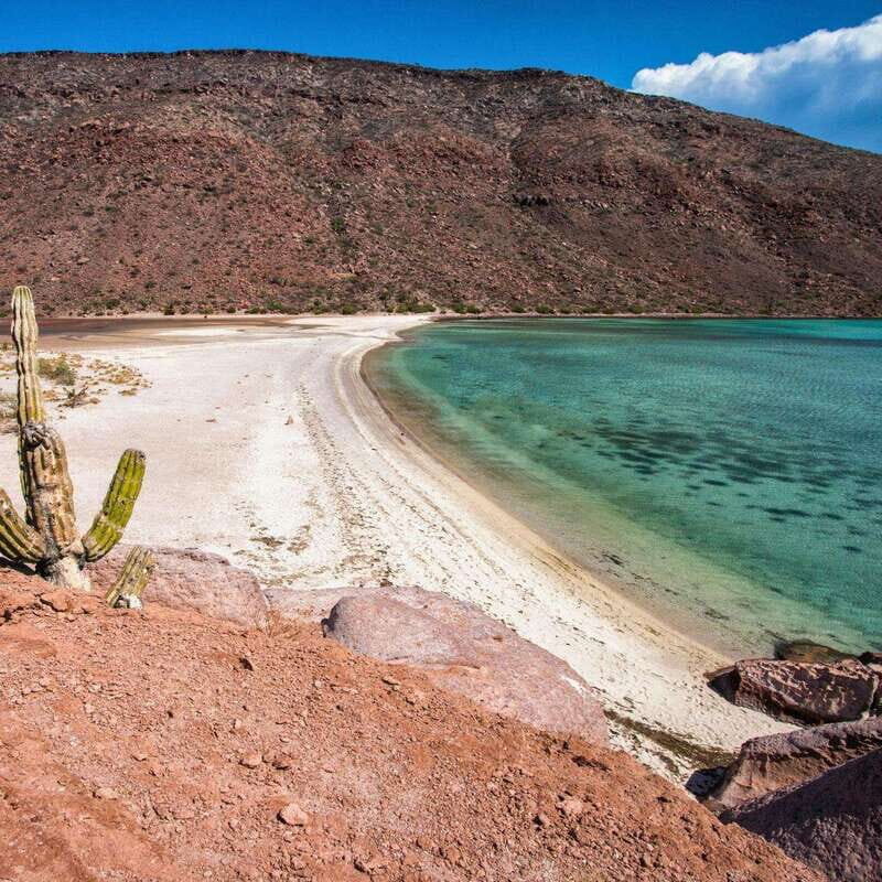 From La Paz: Espíritu Santo Island Tour all inclusive - FAQ