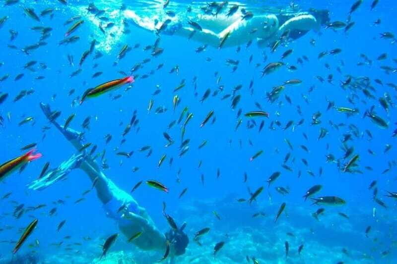 From La Paz: Whale Sharks, Sea Lions & Balandra Beach Combo - FAQs