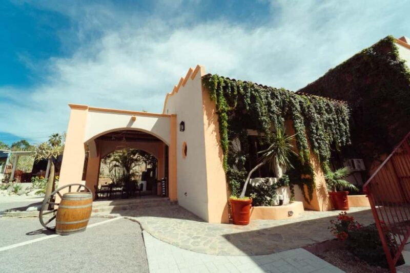 From La Playa: Vineyard Tour w/ Tasting & Todos Santos Stop - Introduction