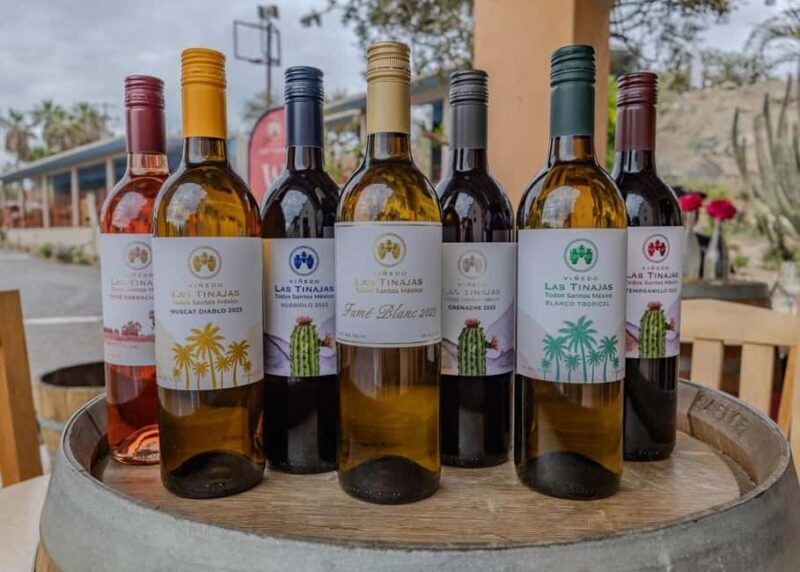 From La Playa: Vineyard Tour w/ Tasting & Todos Santos Stop - What Travelers Say