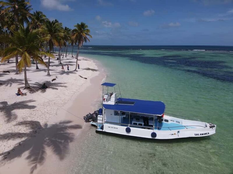 From La Romana: Saona Island for Aida Cruises Passengers - The Value of This Tour
