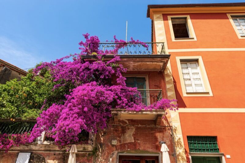 From La Spezia: Highlights of Cinque Terre with A Guide - The Value of Guided Transport and Expert Knowledge
