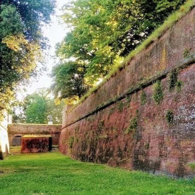From La Spezia: Pisa, Lucca & Lunch at a Tuscan Winery - Key Points