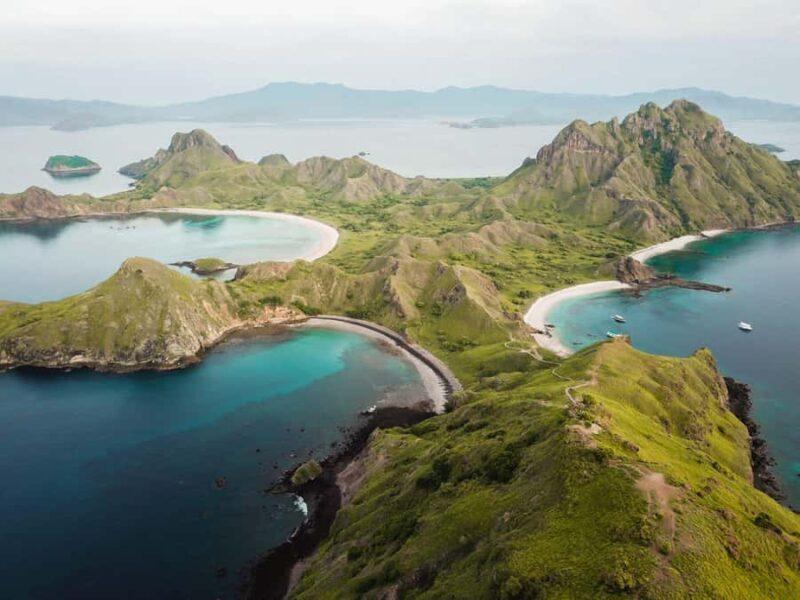 From Labuan Bajo Explore komodo island & Snorkeling - An Authentic Day in Komodo: What to Expect