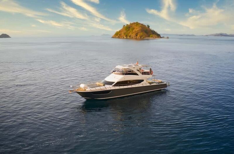 From Labuan Bajo: Komodo Island Day Tour with Snorkeling - Key Points