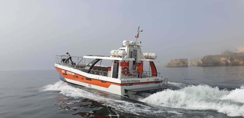 From Lagos: Benagil Caves Catamaran Cruise - Value & Pricing