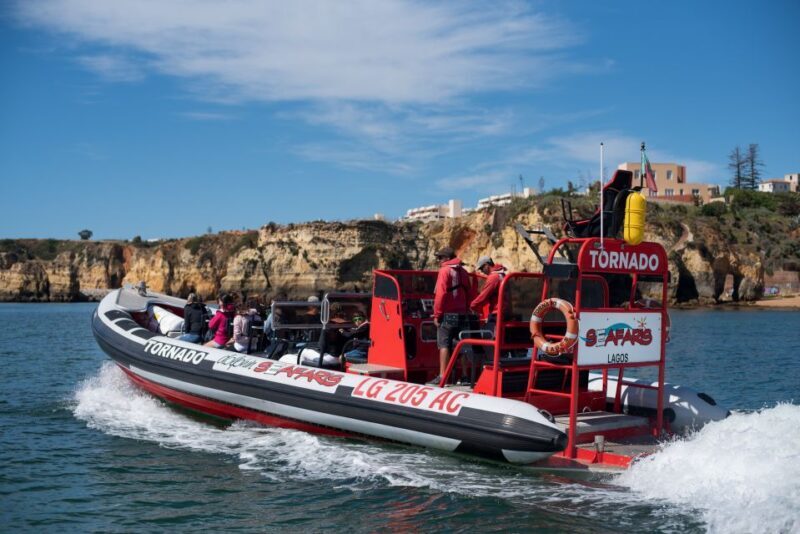 From Lagos: Benagil Sea Caves Tour with a Local Guide - Starting Point and Logistics