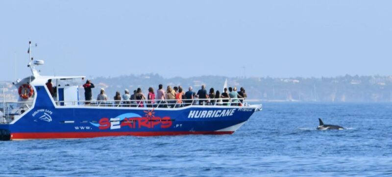 From Lagos: Benagil Sea Caves Tour with a Local Guide - The Value of the Tour