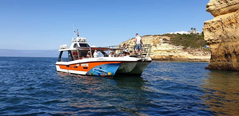 From Lagos: Dolphin Watching Catamaran Cruise - Authentic Insights from Tour Participants