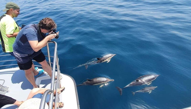 From Lagos: Dolphin Watching Catamaran Cruise - Final Thoughts: Is It Worth It?