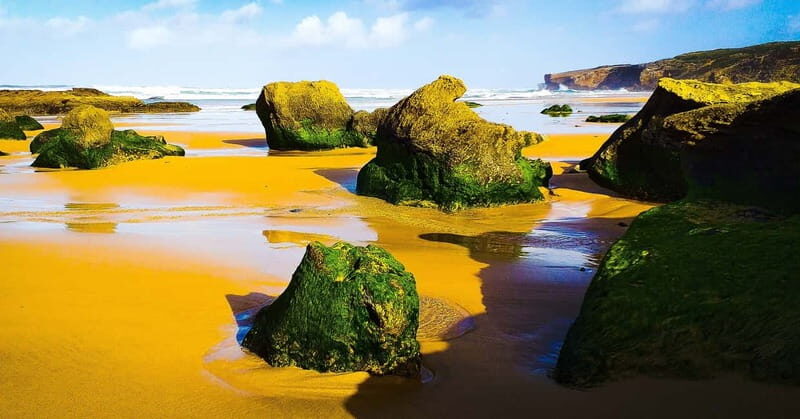 From Lagos: Half-Day West Coast Minivan Tour - FAQ: Your Practical Questions Answered