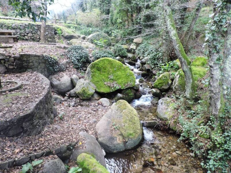 From Lagos: Monchique Private Guided Hike + Medronho Tasting - Introduction: An Authentic Day in Monchique