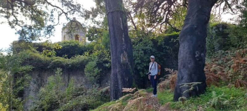 From Lagos: Monchique Private Guided Hike + Medronho Tasting - Pricing and Value