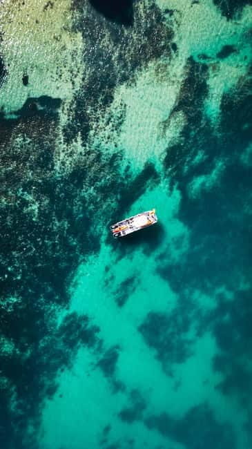 From Lagos: Ponta da Piedade Caves Kayak Tour from Catamaran - The Tour Experience: What to Expect