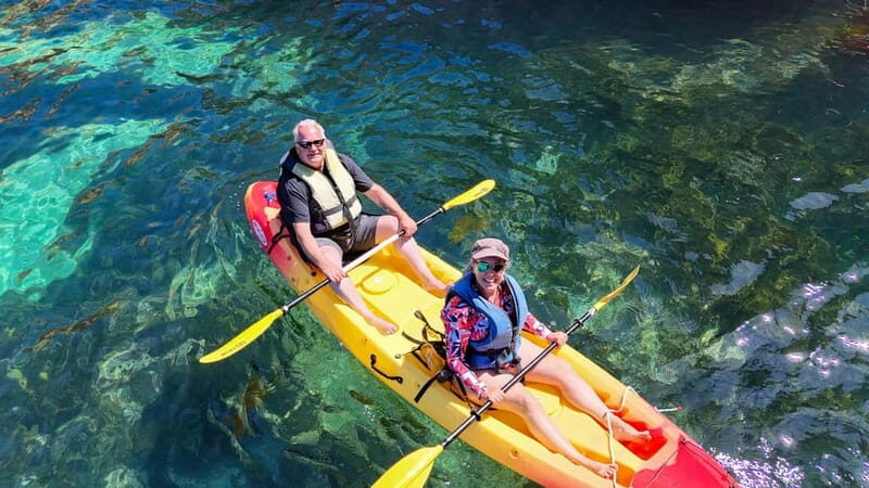 From Lagos: Ponta da Piedade Caves Kayak Tour from Catamaran - From Price to Value