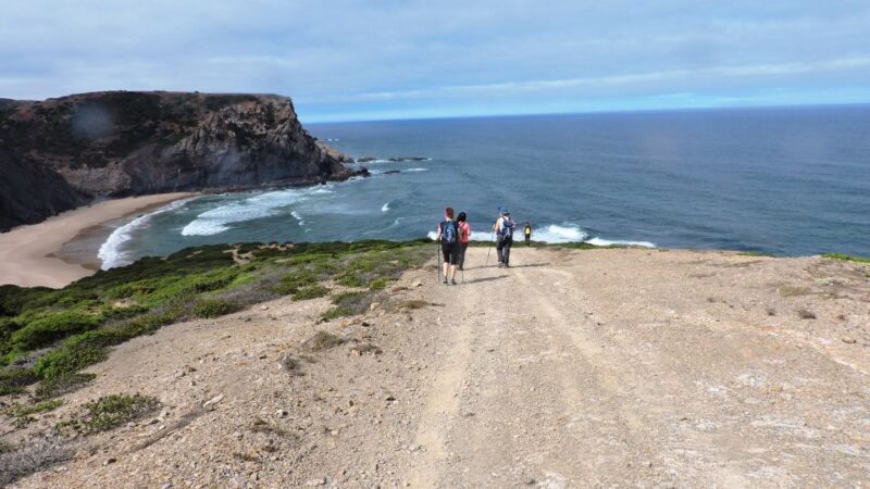 From Lagos: Private Guided Hike along the Vicentina Coast - Key Points