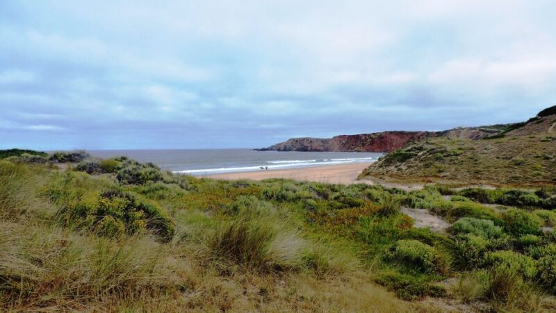 From Lagos: Private Guided Hike along the Vicentina Coast - Why You’ll Love This Hike