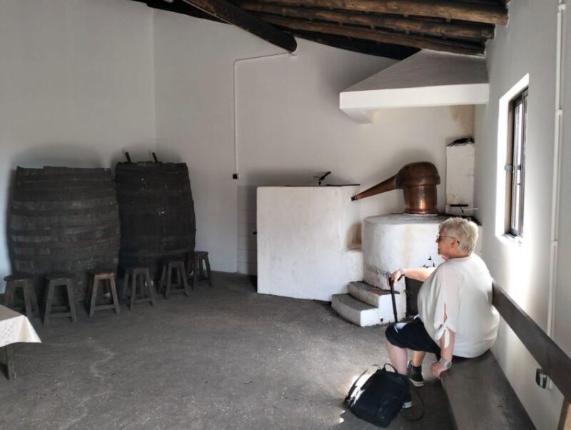From Lagos: Private Tour with Medronho Tasting - Why You Might Love This Tour