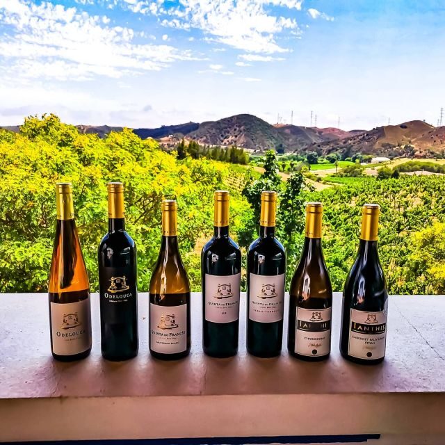 From Lagos: Small-Group 4-Hour Wine Tasting Tour - Who Will Enjoy This Tour?