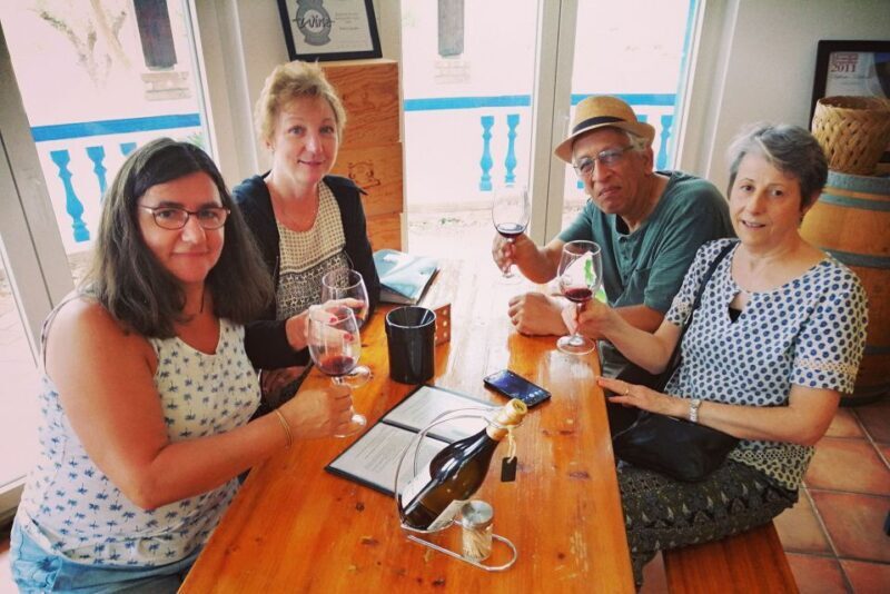 From Lagos: Small-Group 4-Hour Wine Tasting Tour - Authenticity and Value