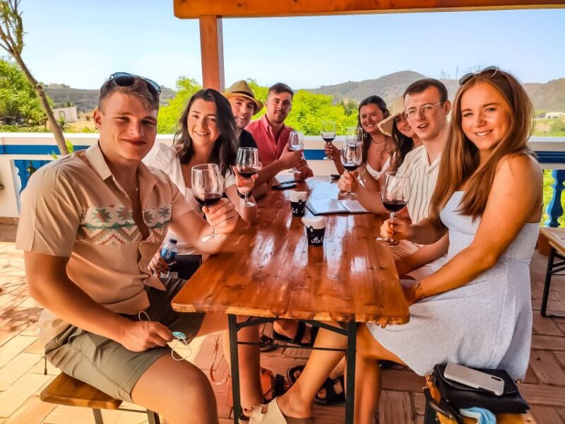 From Lagos: Small-Group 4-Hour Wine Tasting Tour - The Sum Up