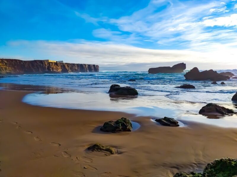 From Lagos: Wild and Wonderful West Coast Full-Day Tour - The Sum Up