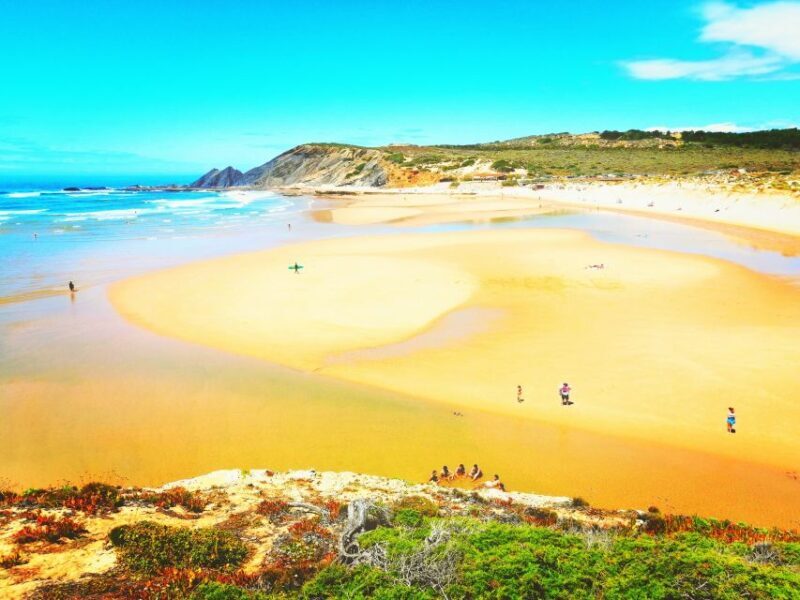 From Lagos: Wild and Wonderful West Coast Full-Day Tour - Pricing and Value