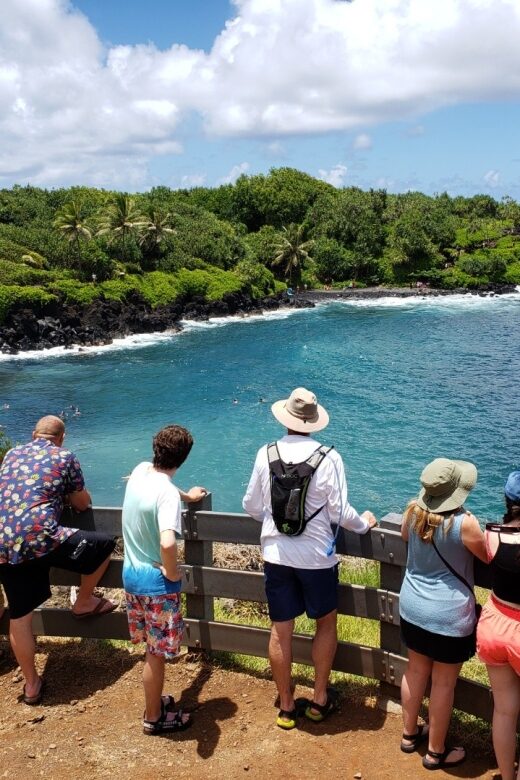 From Lahaina, Maui: Road to Hana Tour - Suitability and Tips