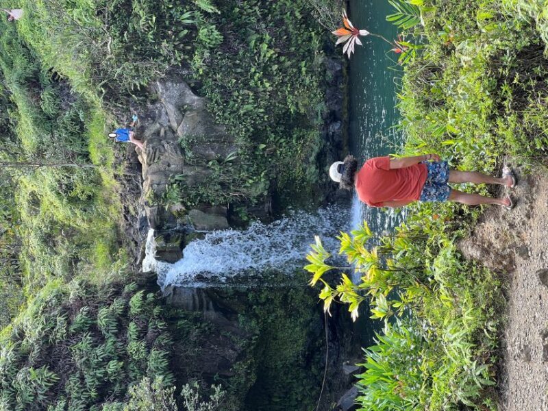 From Lahaina, Maui: Road to Hana Tour - FAQ