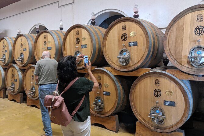 From Lake Garda: Full-Day Valpolicella Wine and Lunch Guided Trip - Exploring the Itinerary in Detail