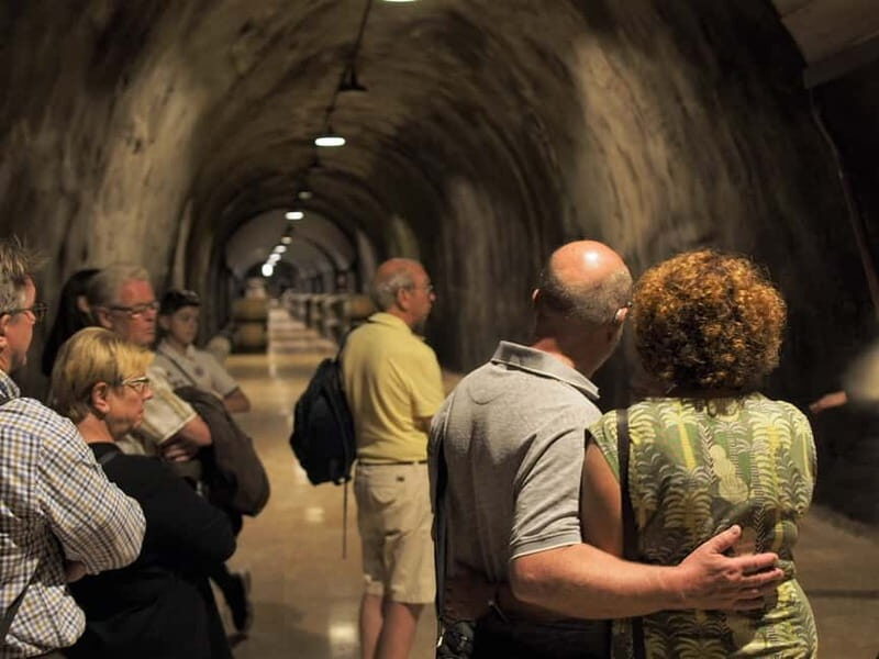 From Lake Garda: Valpolicella Wine & Lunch Guided Trip - Key Points
