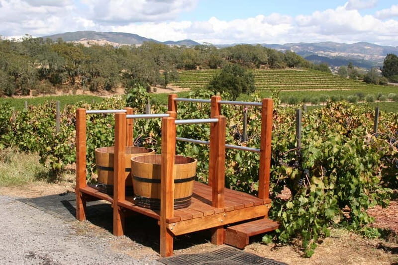 From Lake Garda: Valpolicella Wine & Lunch Guided Trip - Who Should Consider This Tour?