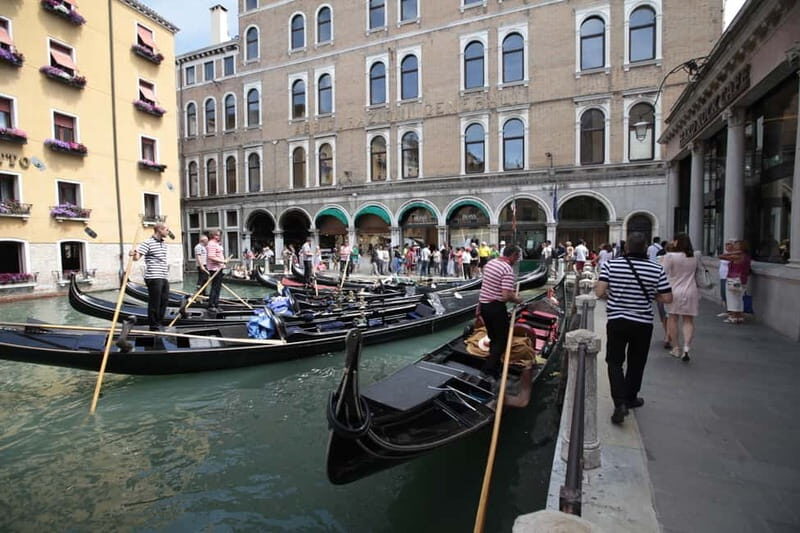 From Lake Garda: Venice Day Trip - Key Points