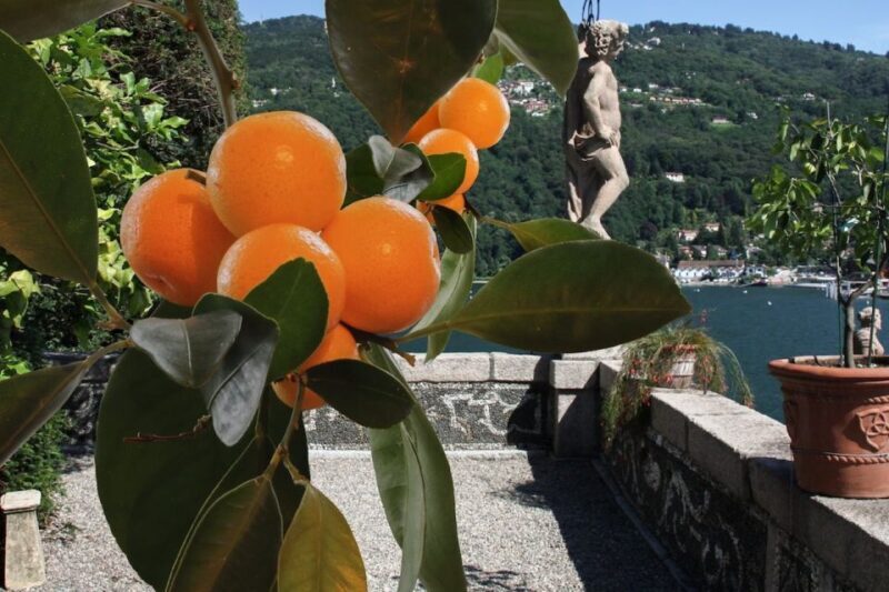 From Lake Maggiore: Private Boat Tour with Pickup/Drop-off - FAQ