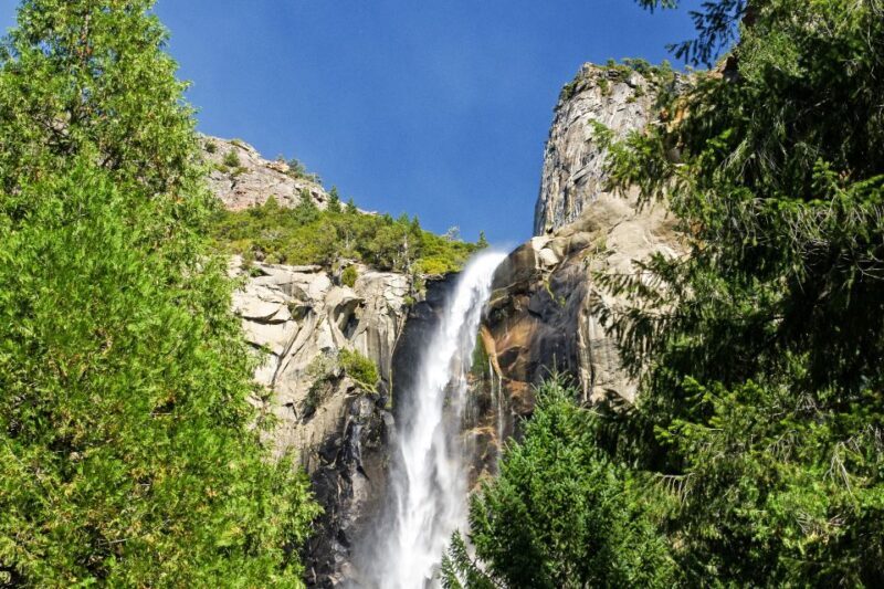 From Lake Tahoe: Yosemite National Park Day Trip with Lunch - A Closer Look at the Yosemite Day Trip Experience