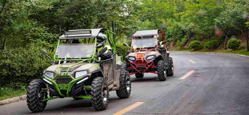 From Lamezia Terme: Buggy Tour - From Lamezia Terme: Buggy Tour – An Authentic Adventure into Calabria’s Untouched Nature