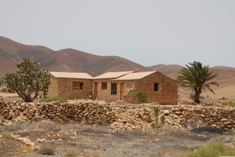 From Lanzarote: Fuerteventura Day Trip - The Value of the Experience