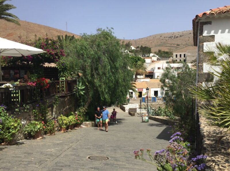 From Lanzarote: Fuerteventura Day Trip - Who Will Love This Tour?