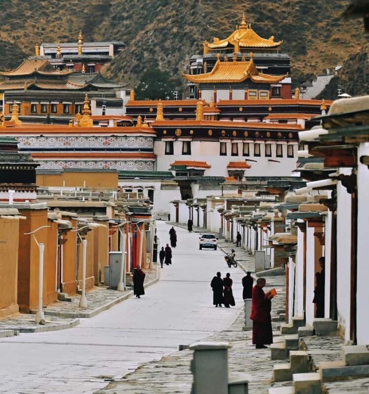 From Lanzhou: Labrang Monastery & Sangke Grassland Day Tour - An In-Depth Look at the Tour