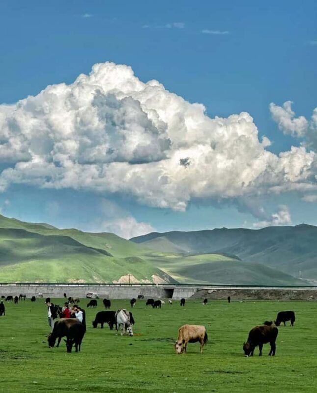 From Lanzhou: Labrang Monastery & Sangke Grassland Day Tour - FAQ