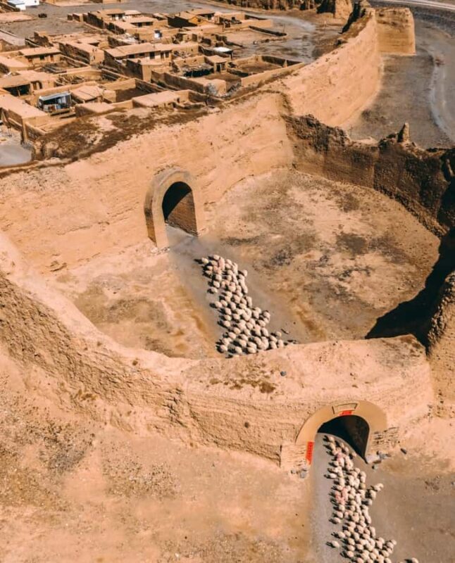 From Lanzhou: Yellow River Stone Forest & Yongtai Old City - Who Should Consider This Tour?